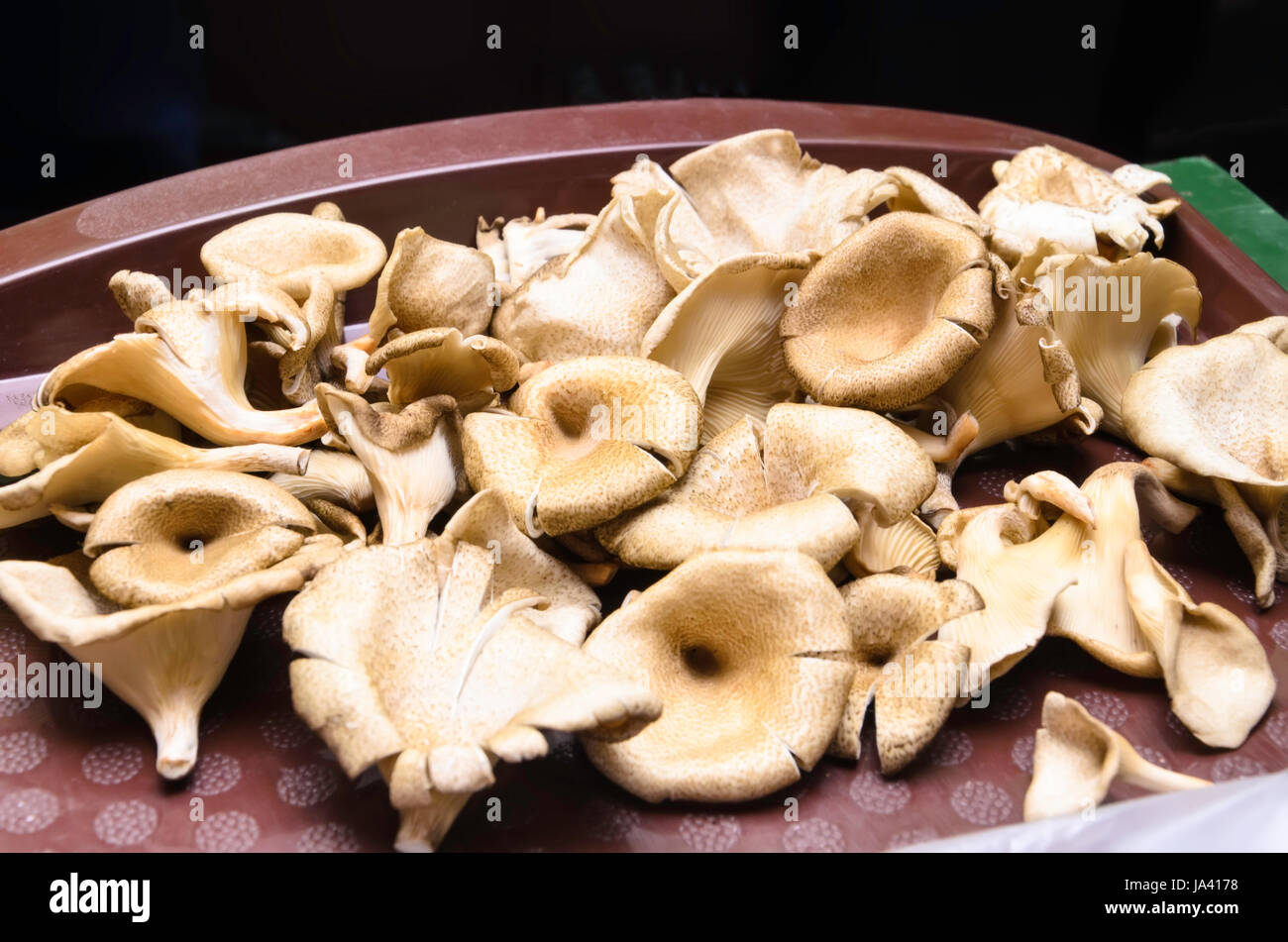 taste, vegetable, mushroom, fungus, country, cook, rustical, rustic ...