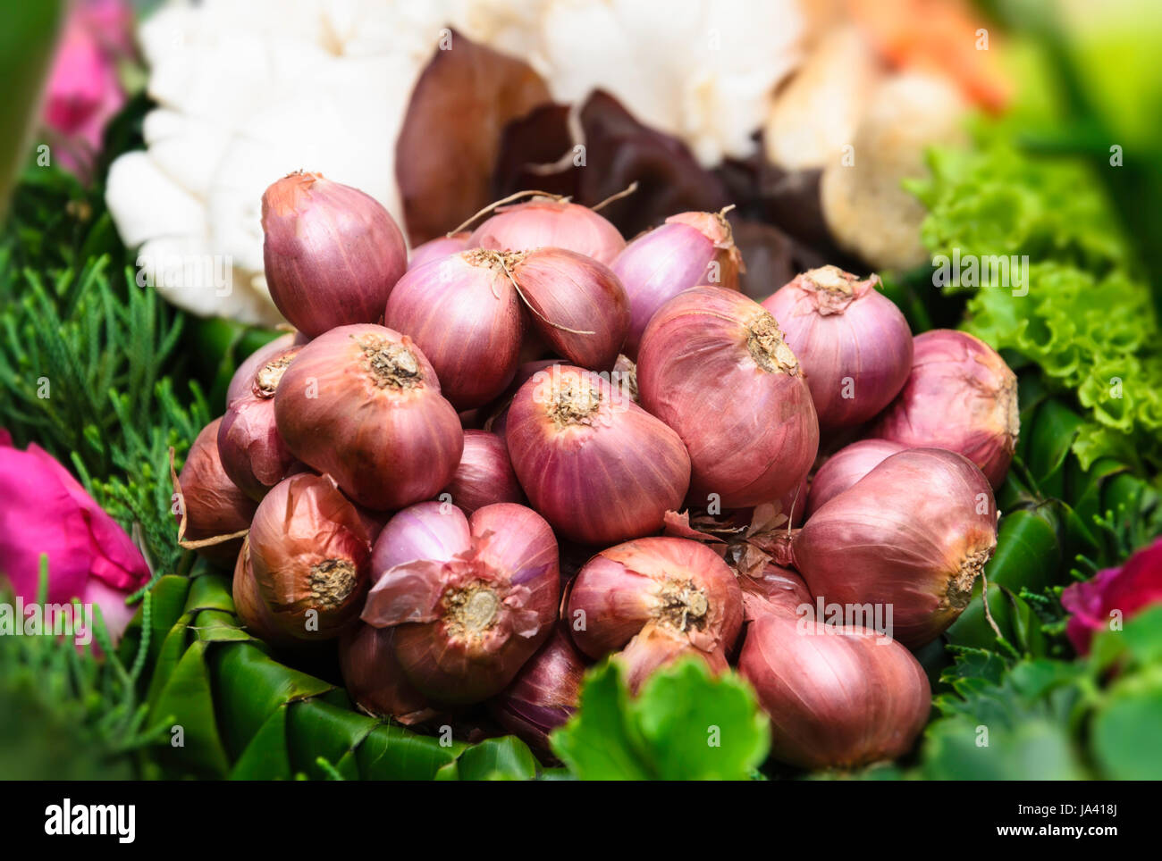 spice, root, vegetable, raw, garlic, herb, rustical, rustic, healthy ...