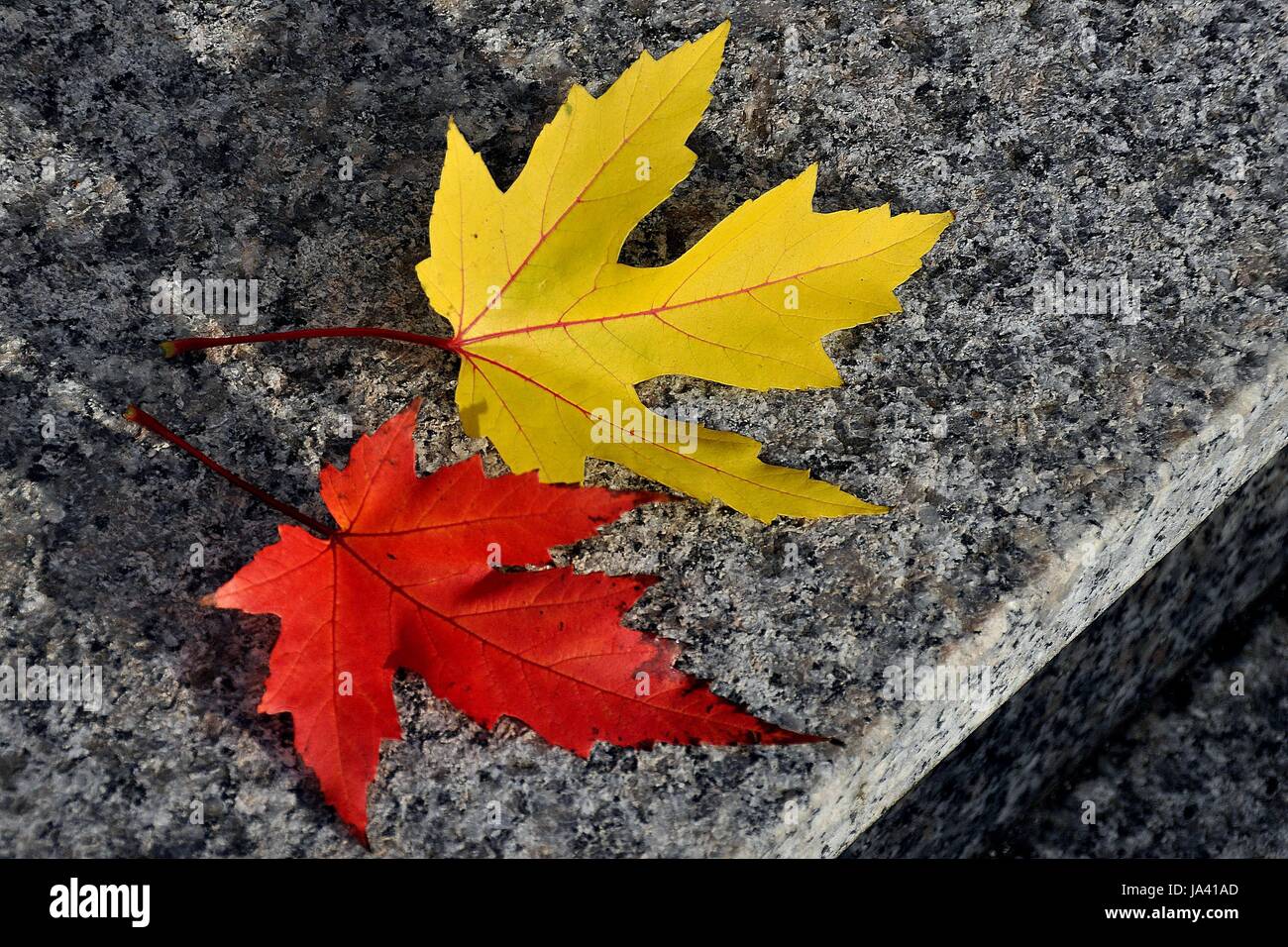 Sorrow At Parting High Resolution Stock Photography and Images - Alamy