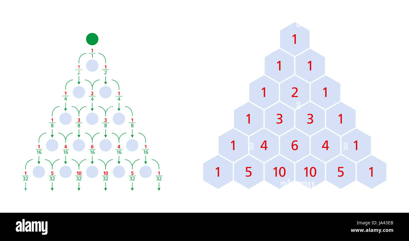 Galton board normal distribution and Pascal's triangle, a triangular array of the binomial ...