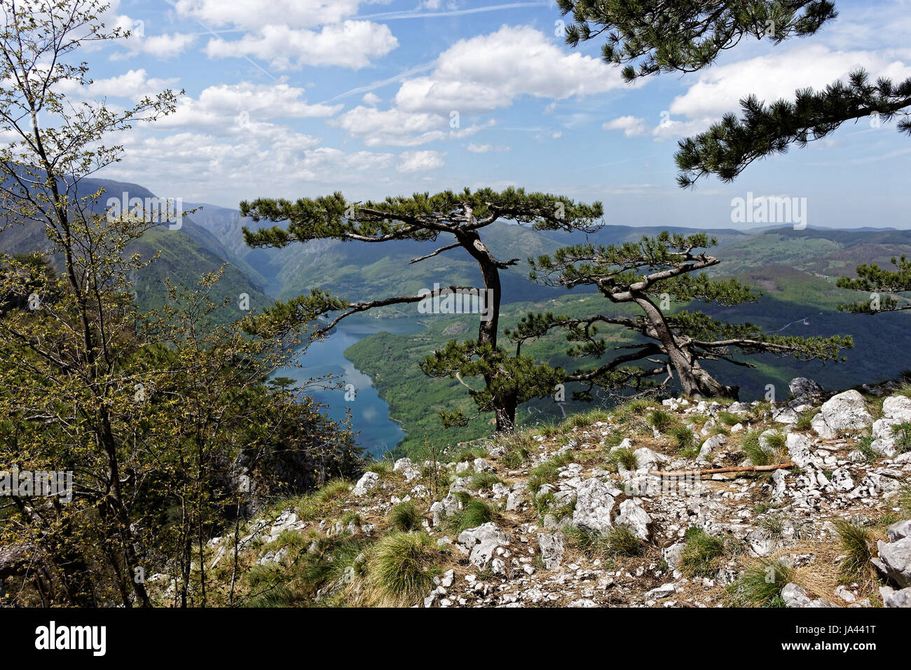 Lake Perucac, viewpoint Banjska Stena, mountain Tara, Western Serbia ...