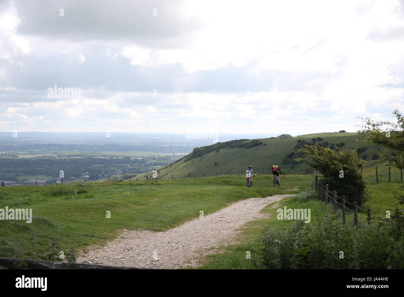 Two mountain bike riders in the countryside on the South Downs Way near ...