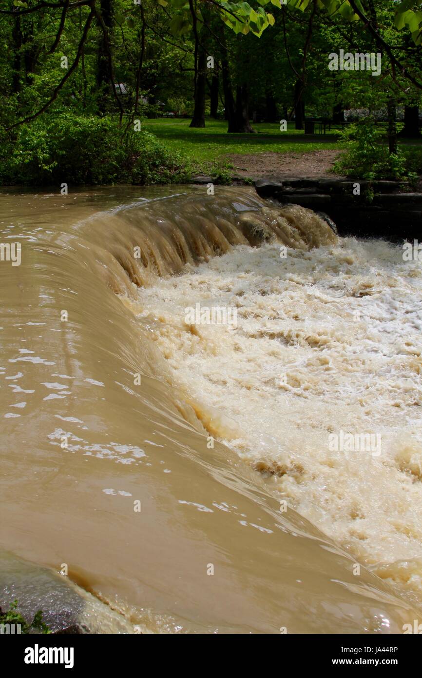 The nature scene at the park Stock Photo - Alamy