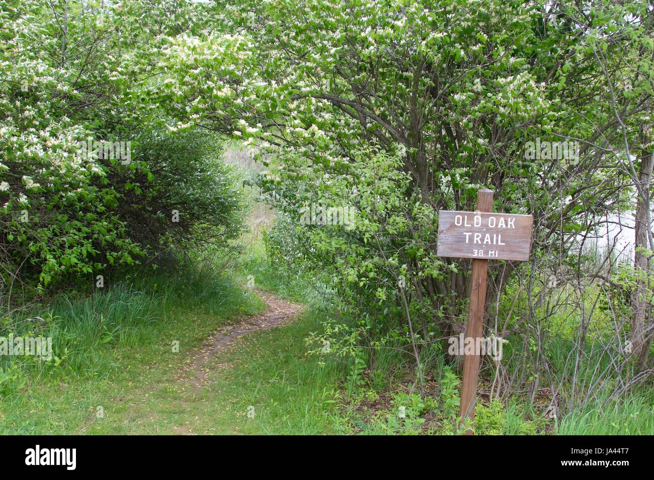 The nature scene at the park Stock Photo - Alamy