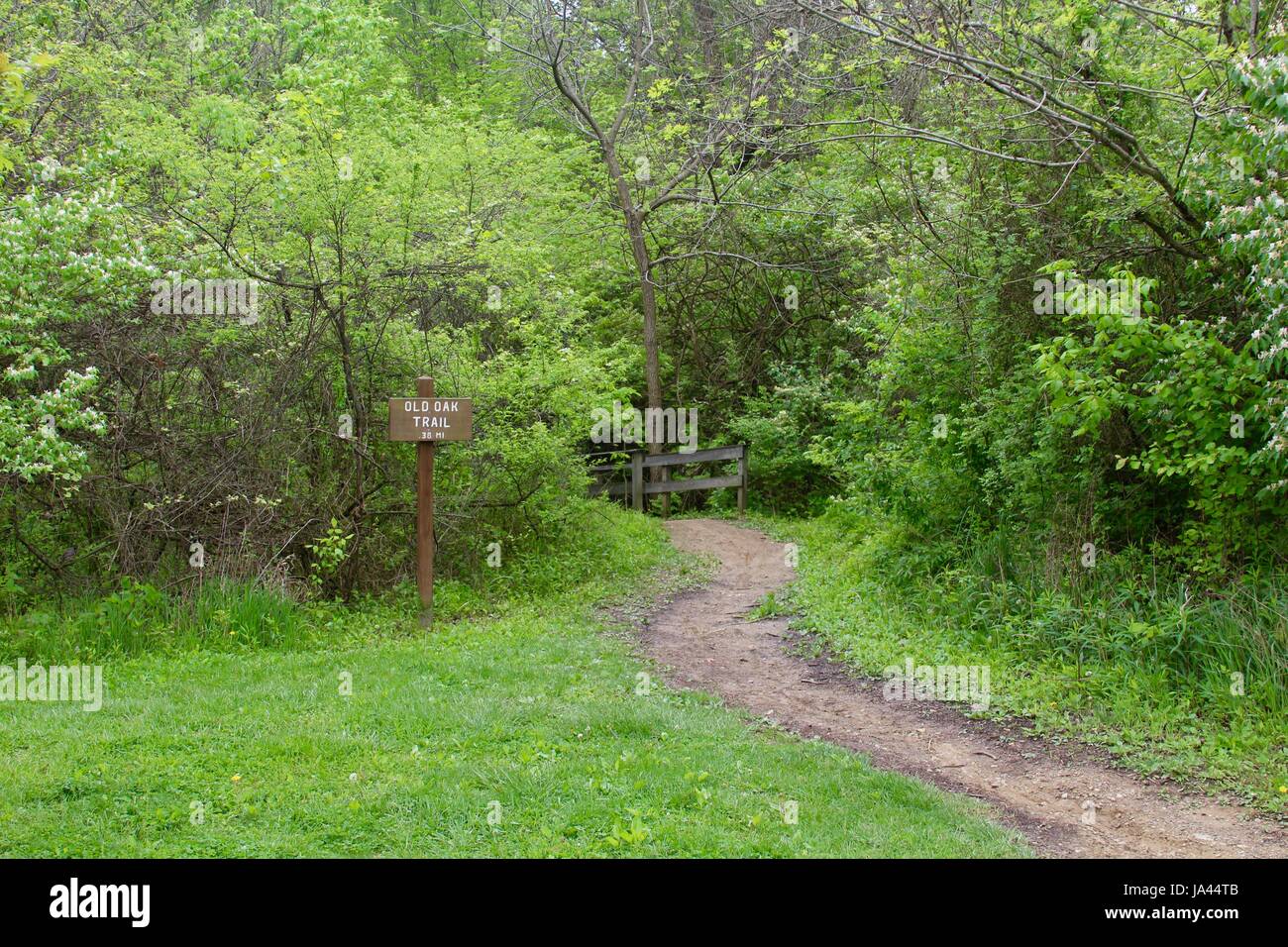 The nature scene at the park Stock Photo - Alamy