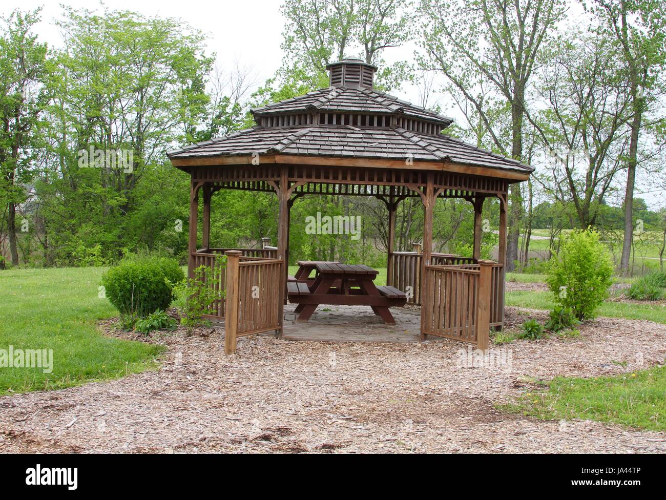 The nature scene at the park Stock Photo - Alamy