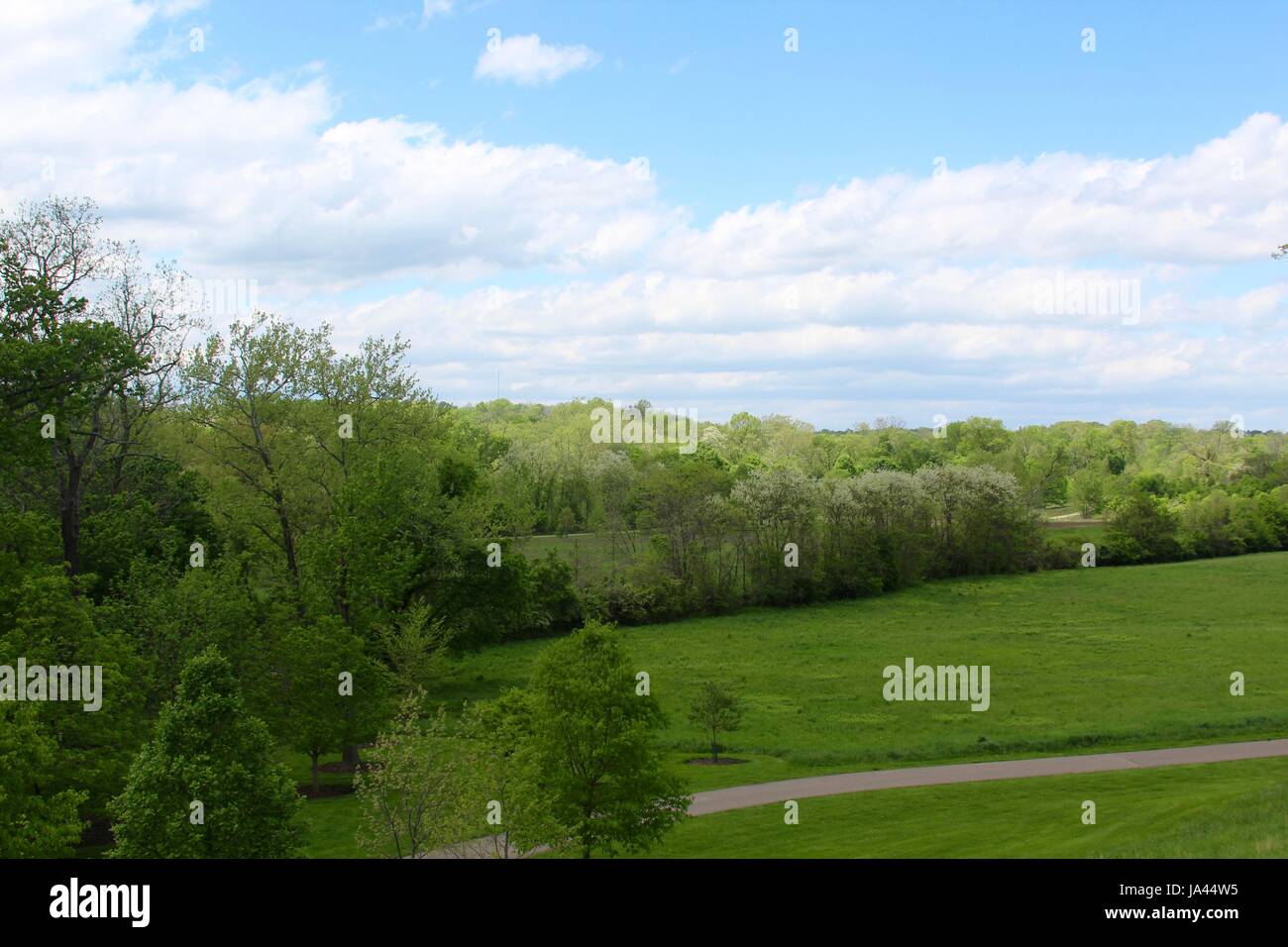 The nature scene at the park Stock Photo - Alamy