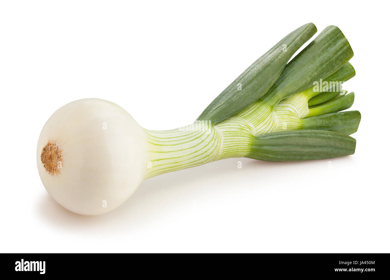 Fresh green onions Cut Out Stock Images & Pictures - Alamy