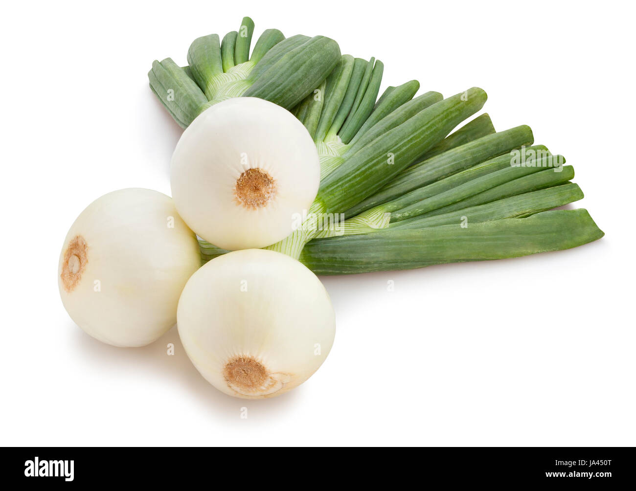 white onions isolated Stock Photo - Alamy