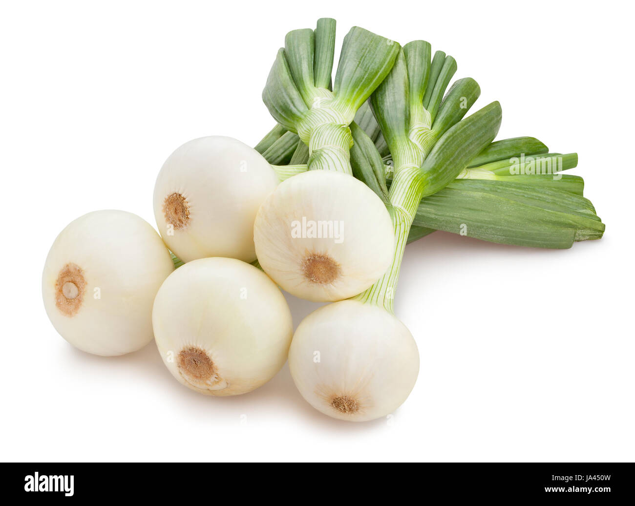 white onions isolated Stock Photo - Alamy