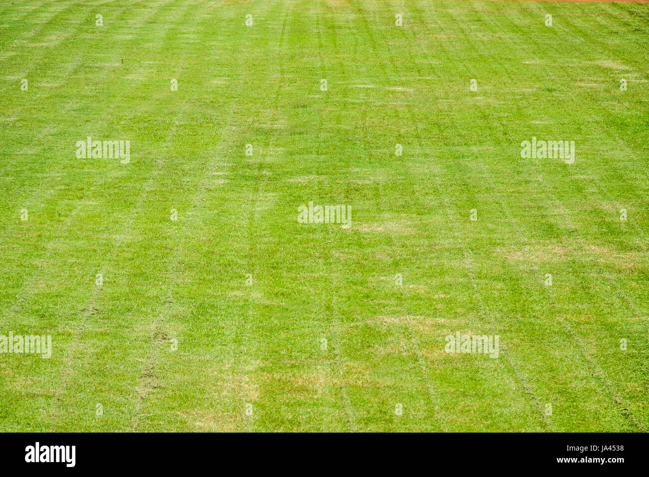Motorized grass cutter hi-res stock photography and images - Alamy