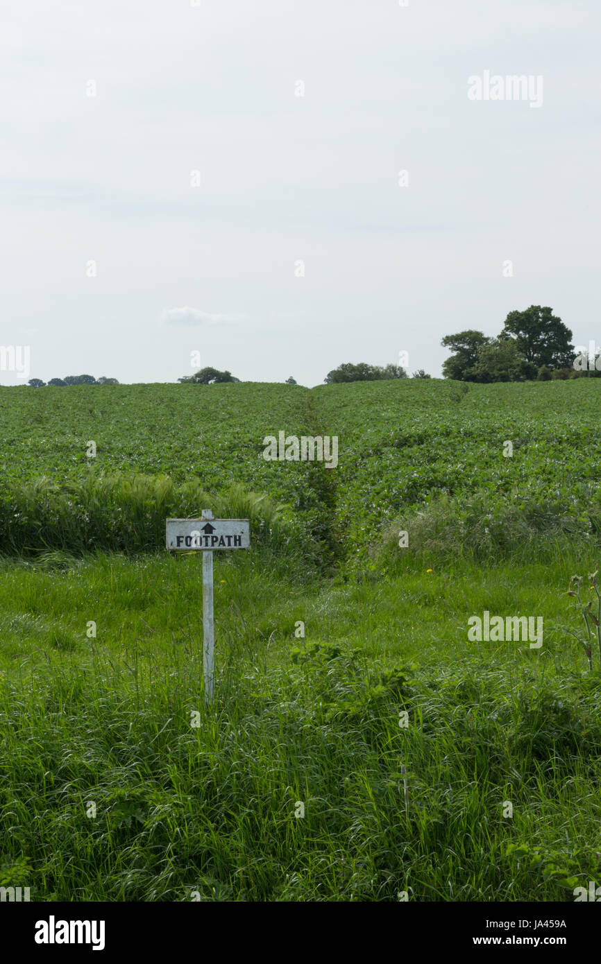 A uinique white footpath sign in a green field with a footpath or trail ...