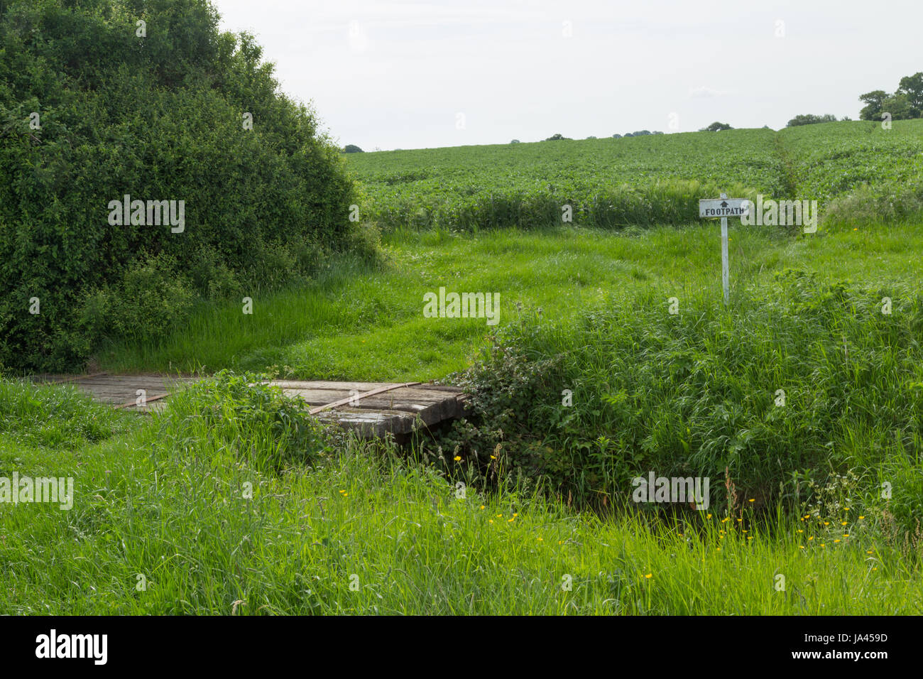 A picture of a green field with a white footpath sign and a wooden ...