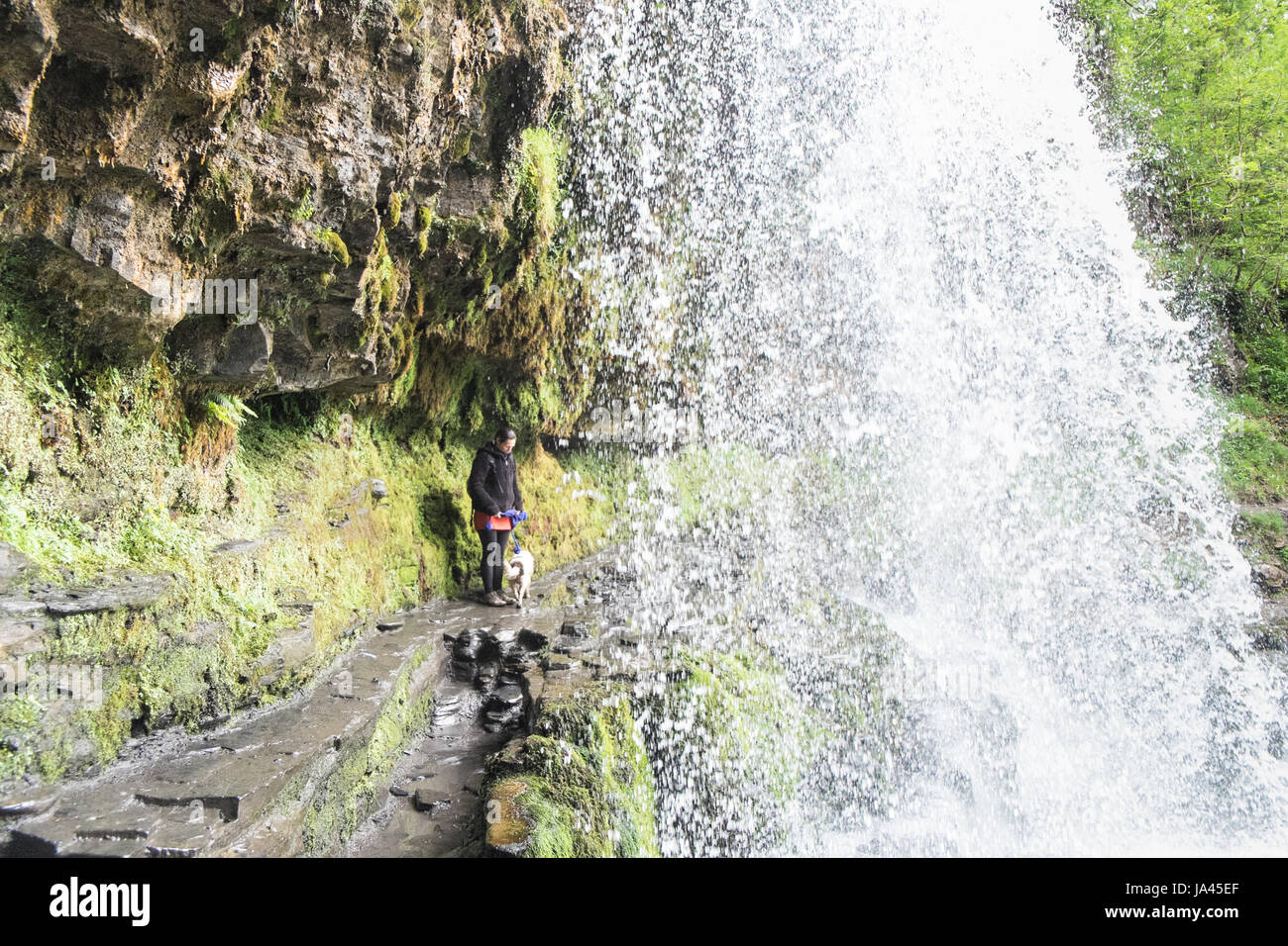 People,hiking,walk,behind,beneath,waterfall,Sgwd yr Eira,Waterfall of ...
