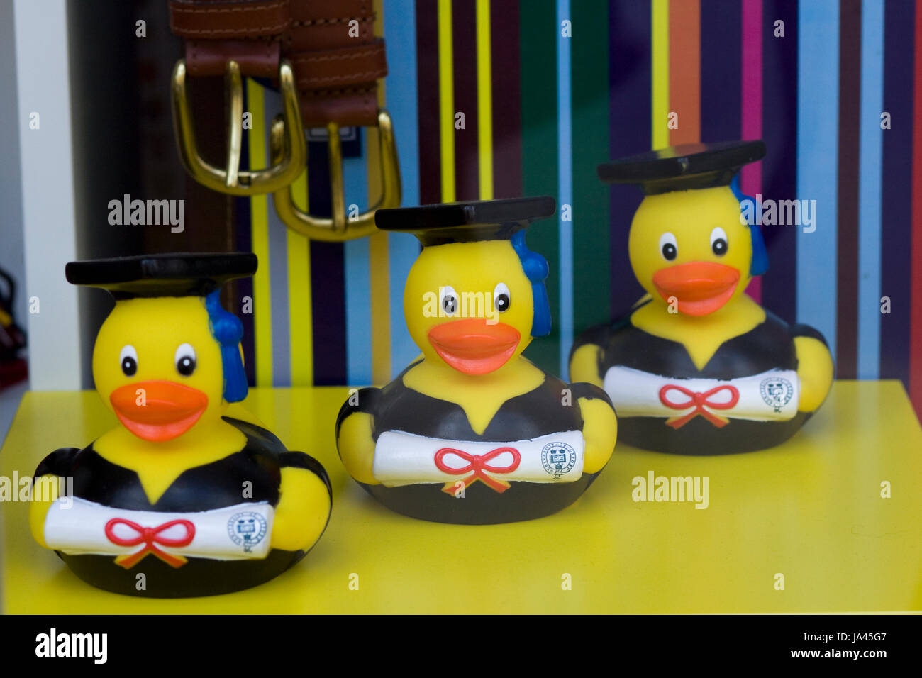 Rubber Ducks dressed in Black graduation gowns diplomas Stock Photo - Alamy