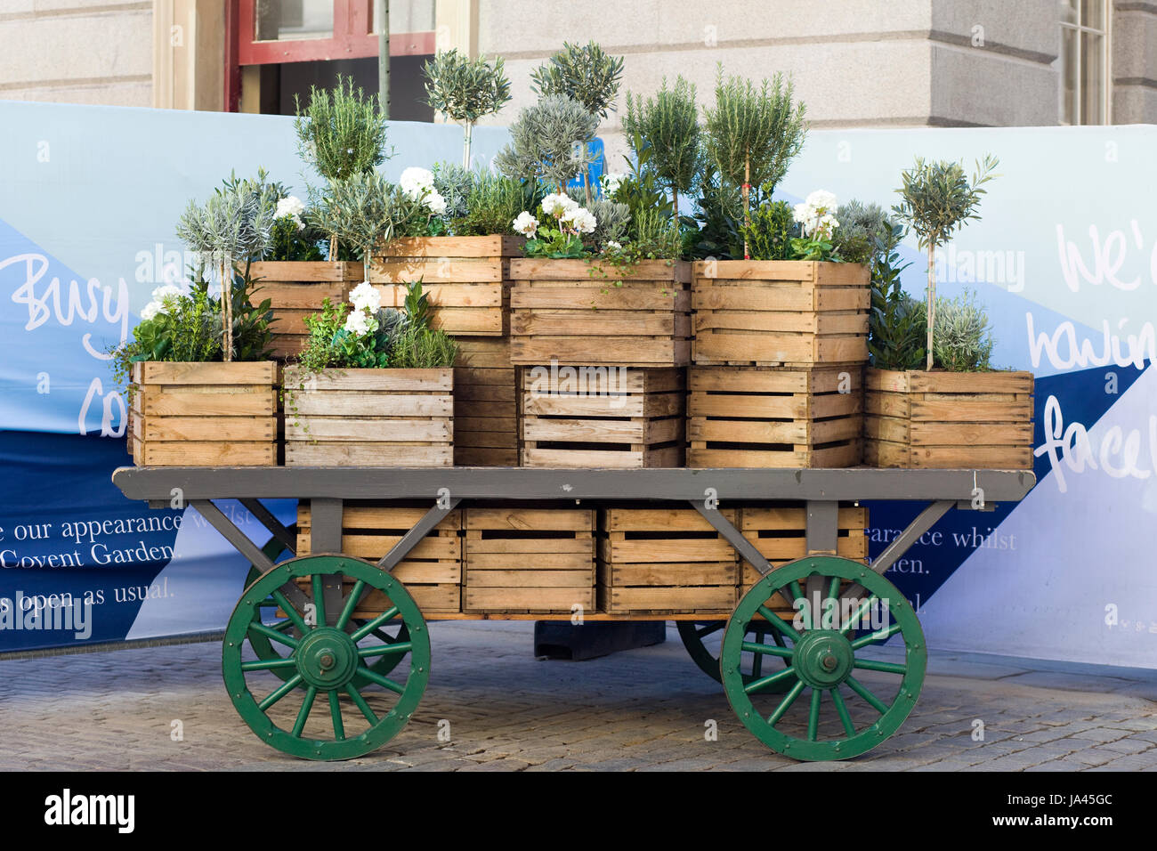 wooden cart full of flowers and shrubs Stock Photo - Alamy