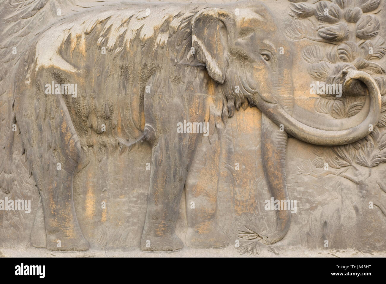 Stone carved woolly Mammoth on a wall Stock Photo - Alamy