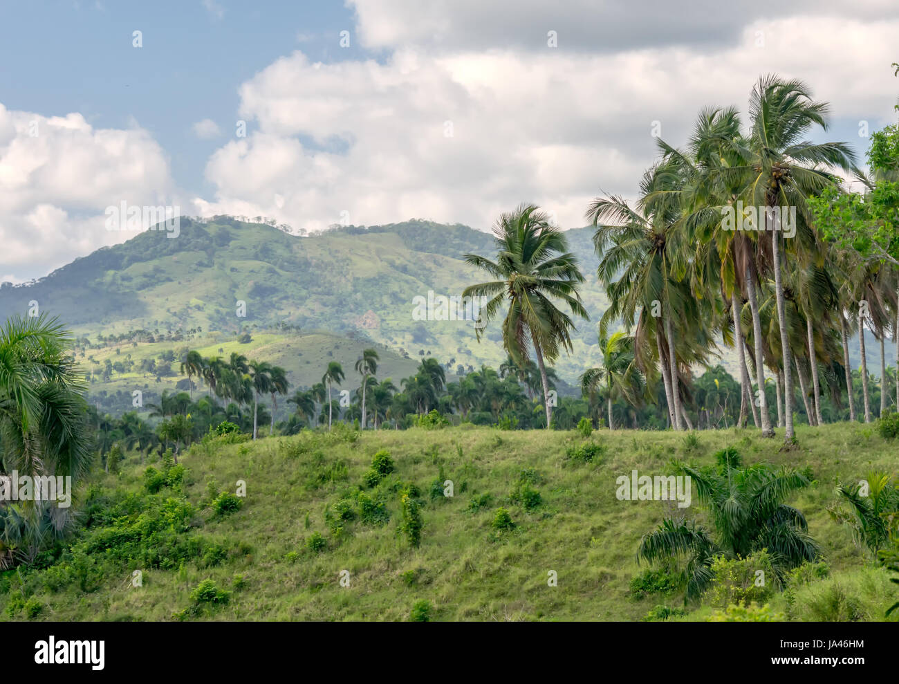 Mountainous landscape somewhere in the Dominican Republic Stock Photo ...