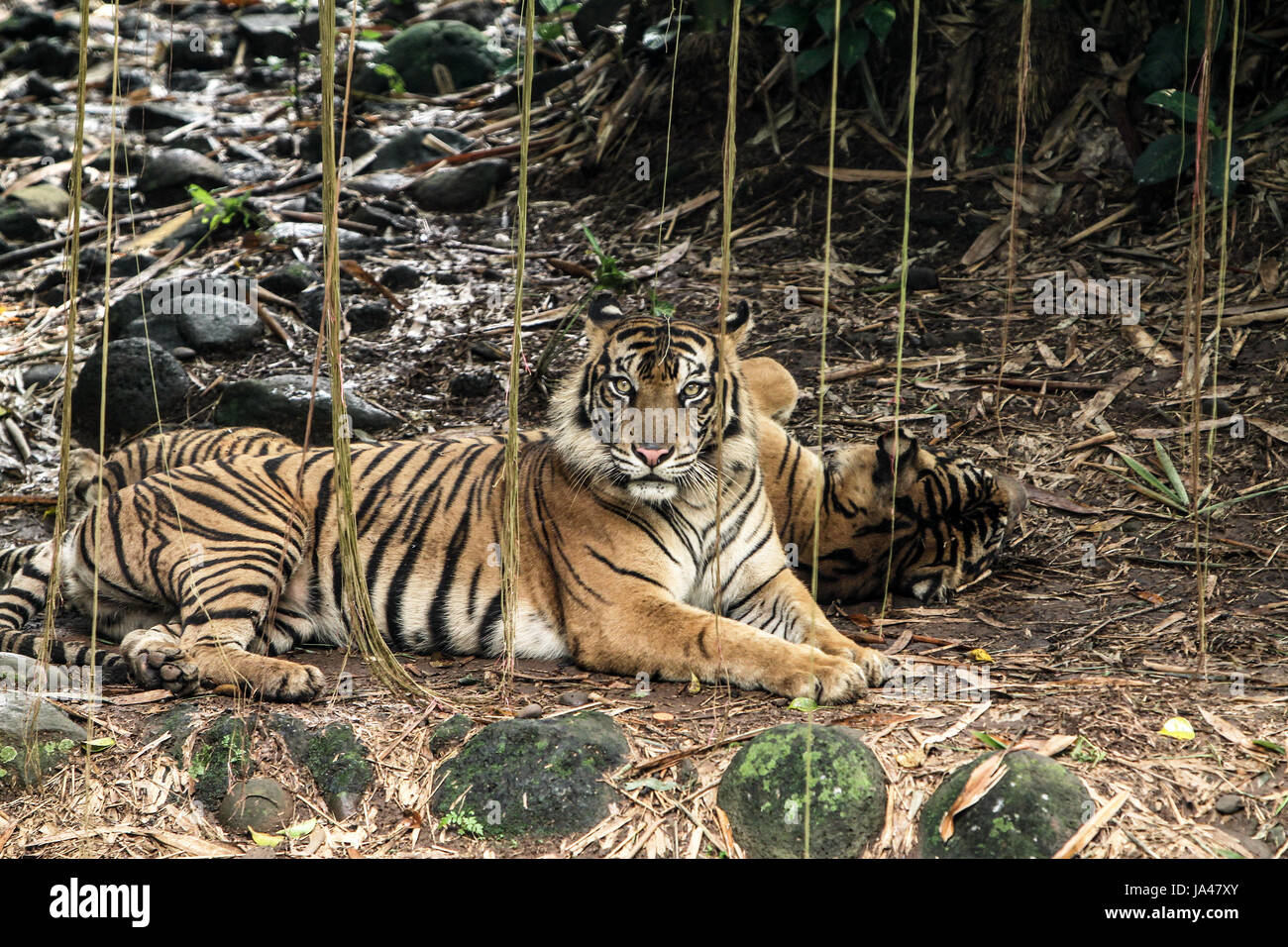 Family standby hi-res stock photography and images - Alamy