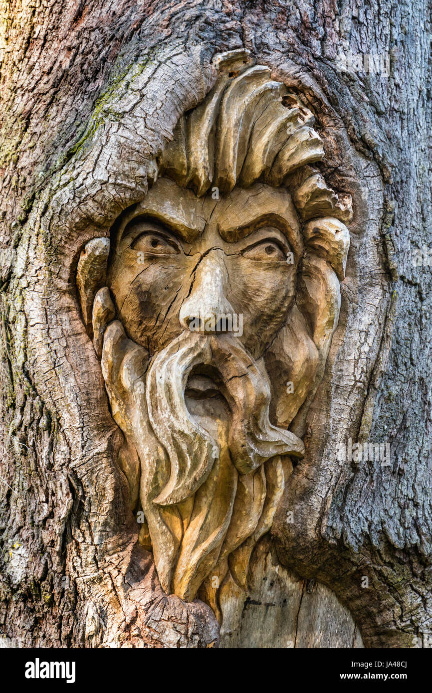 With their sad, sorrowful expressions, the Tree Spirits of St. Simons ...