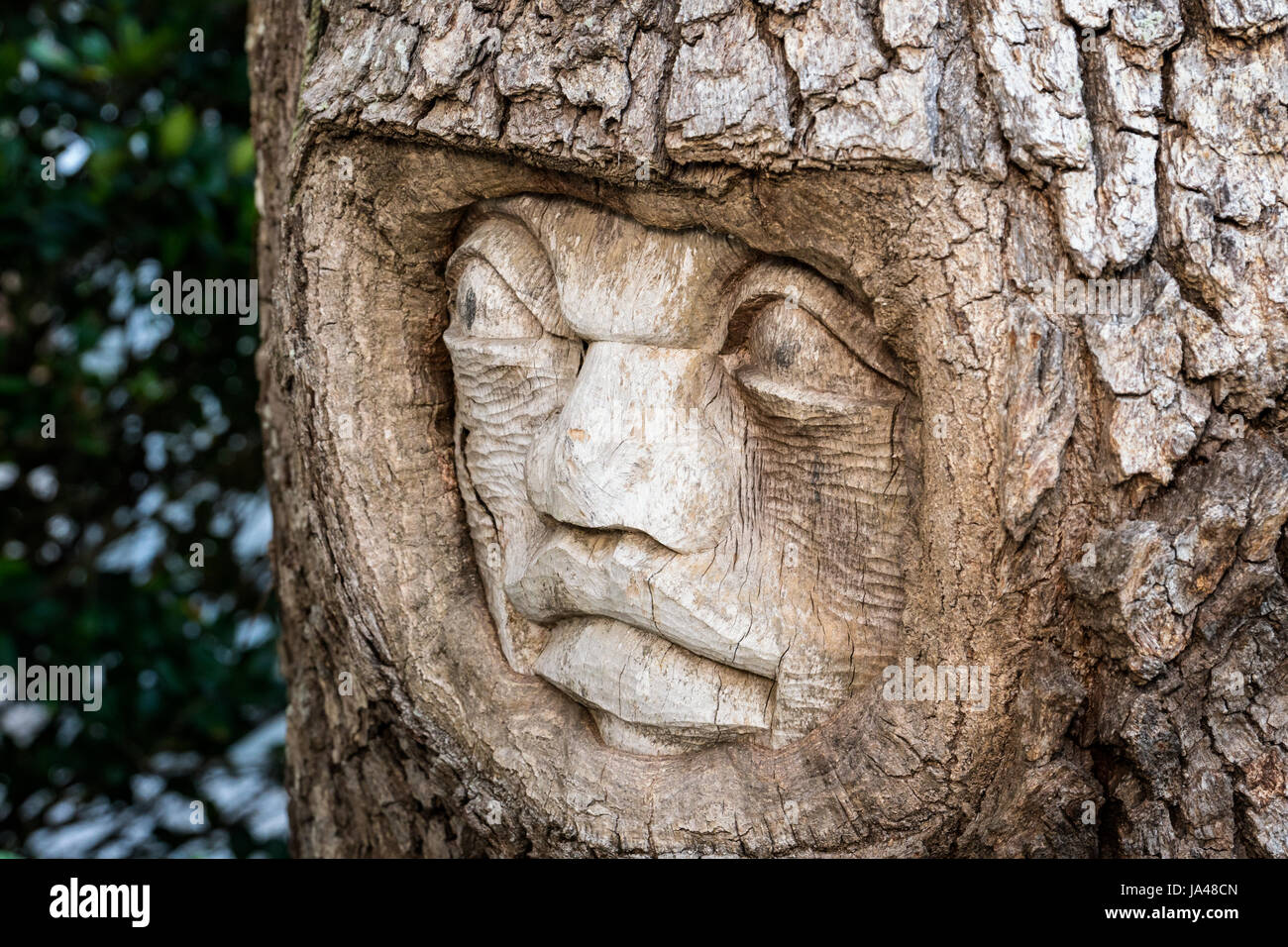 With their sad, sorrowful expressions, the Tree Spirits of St. Simons ...