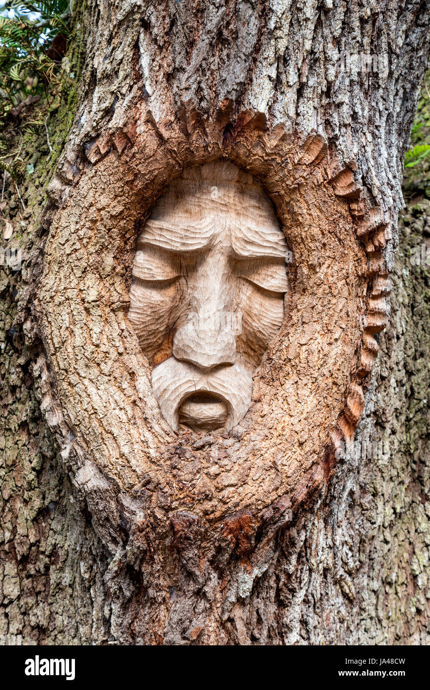 St. Simons Island Tree Spirit, Magnolia Manor, St. Simons Island ...