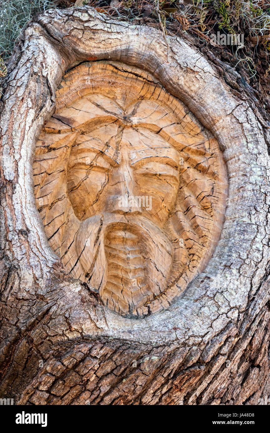 Spirit of oak tree hi-res stock photography and images - Alamy