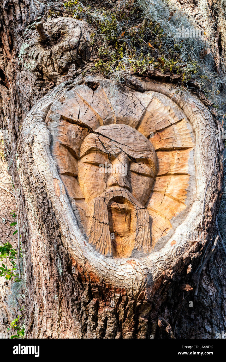 St. Simons Island Tree Spirit, Gascoigne Bluff, St. Simons Island ...
