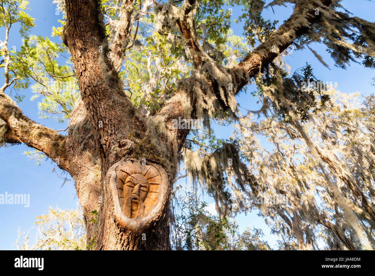 St. Simons Island Tree Spirit, Gascoigne Bluff, St. Simons Island ...