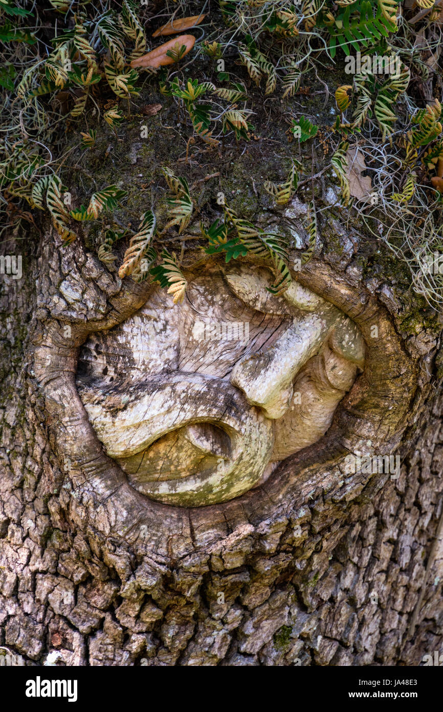 With their sad, sorrowful expressions, the Tree Spirits of St. Simons ...