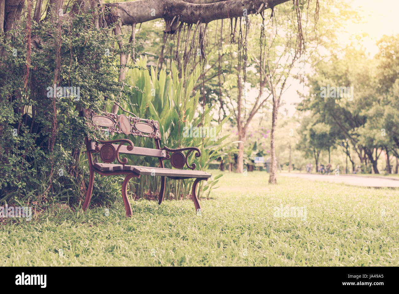 Seating chairs with nature in the park Stock Photo - Alamy