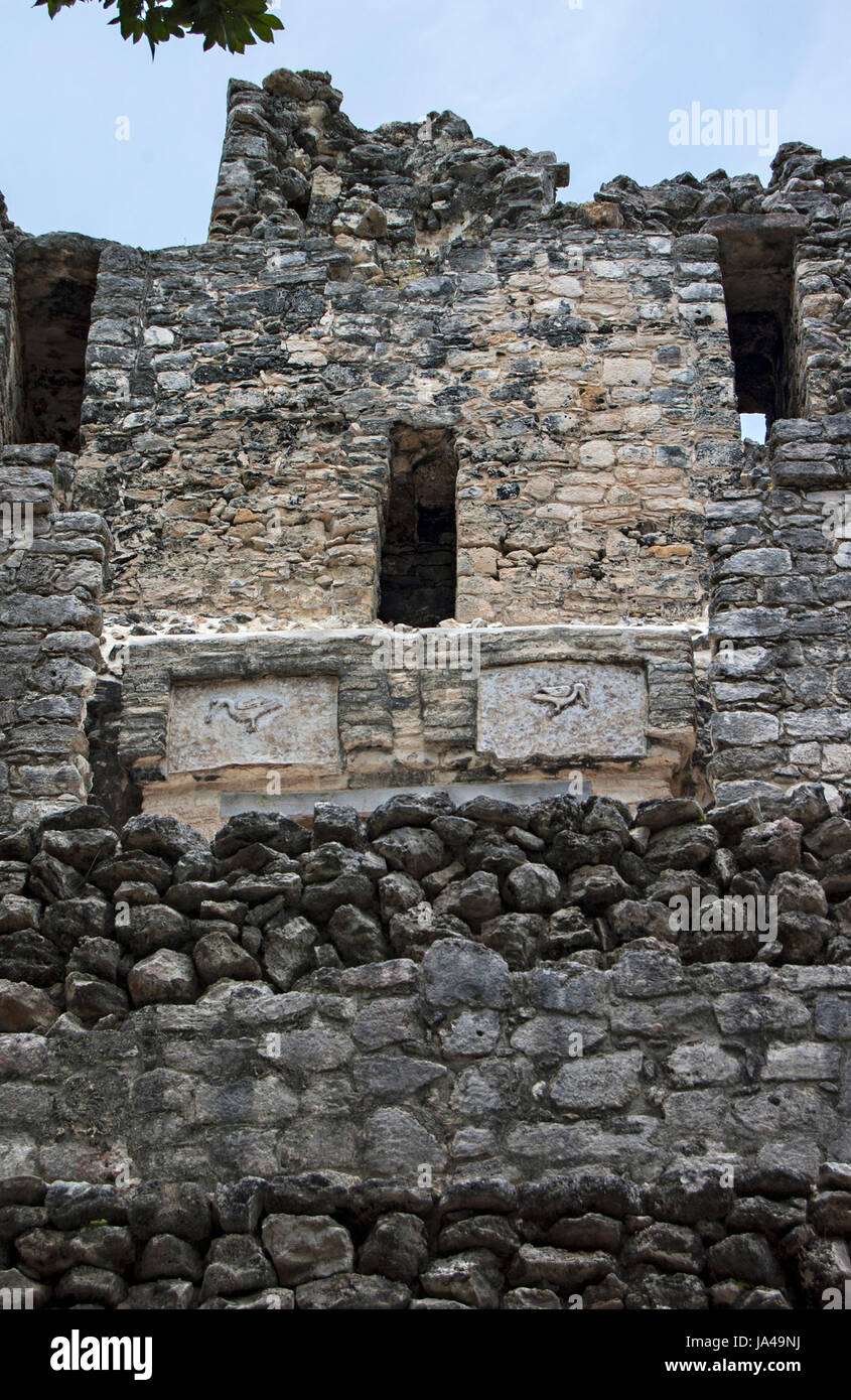 Mayan Ruins, Muyil, Quintana Roo, Mexico Stock Photo - Alamy