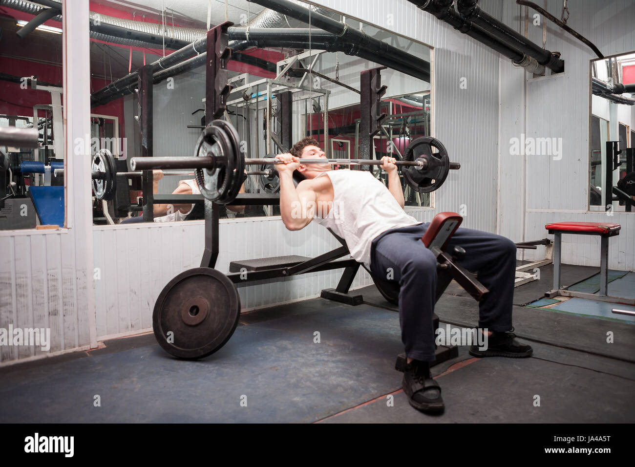 Muscular guy exercising in the gym. Lifting heavy weights in the gym ...