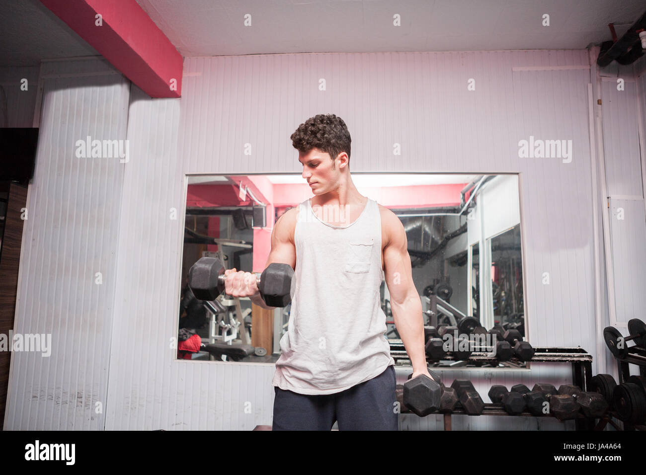 Bodybuilder exercising in the gym. Lifting heavy weights. Bodybuilder ...