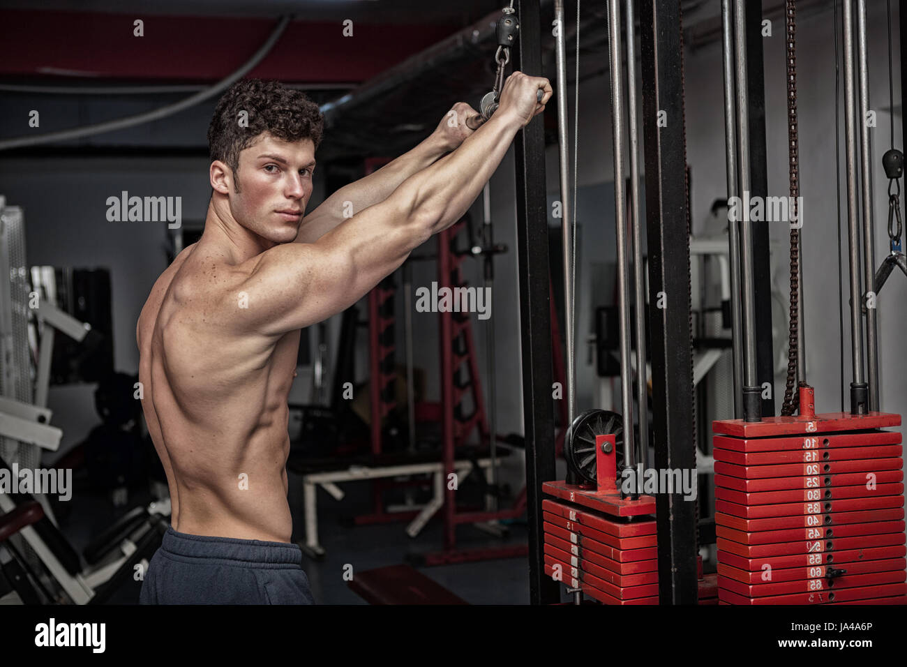 Attractive muscular guy exercising in the gym. Lifting heavy weights ...