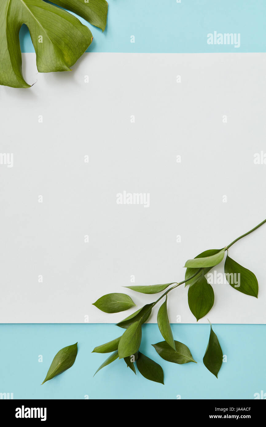 Piece of paper with empty space under the text on a blue background ...