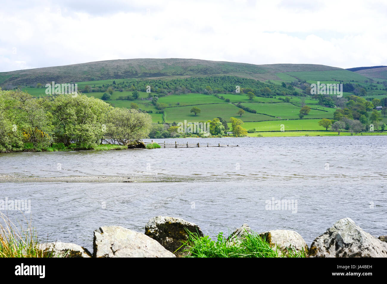 Bala lake llyn tegid gwynedd hi-res stock photography and images - Alamy