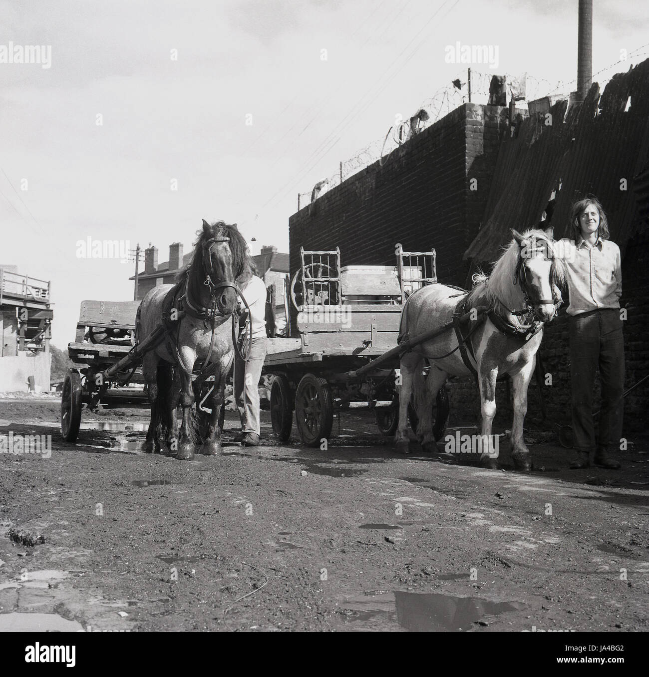 Rag bone horse hi-res stock photography and images - Alamy