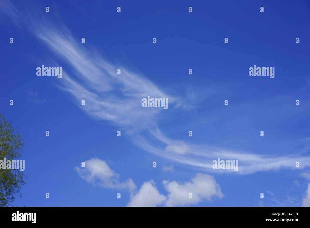 Bird shaped cloud formation, England, UK Stock Photo - Alamy