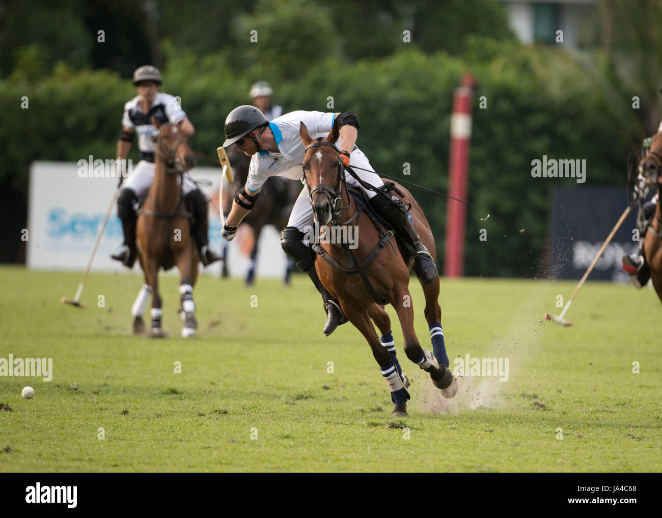 Sentebale royal salute polo cup singapore polo club hi-res stock ...