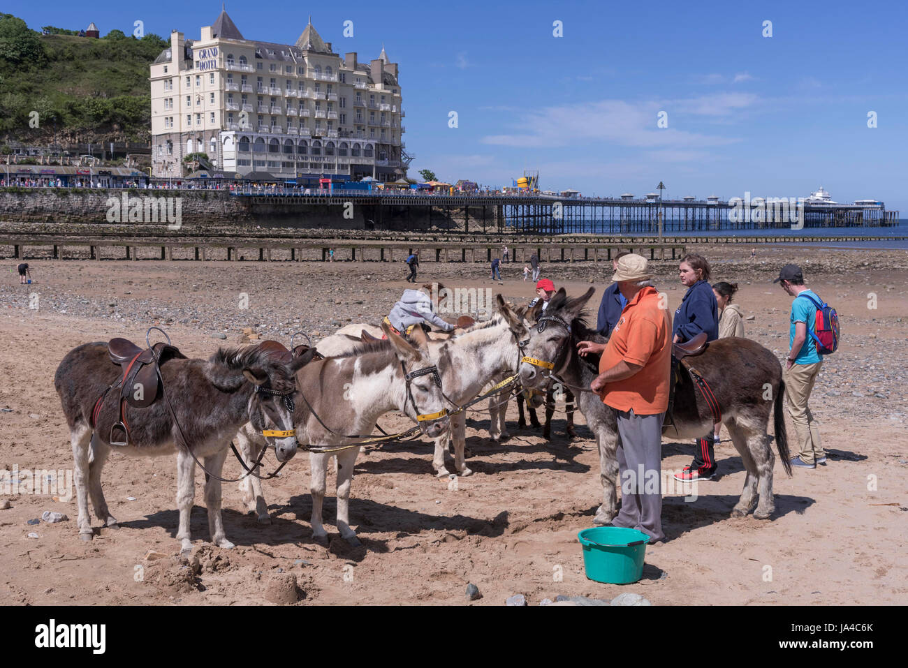 Llandudno beach donkey rides. Grand Hotel East Bay Stock Photo - Alamy