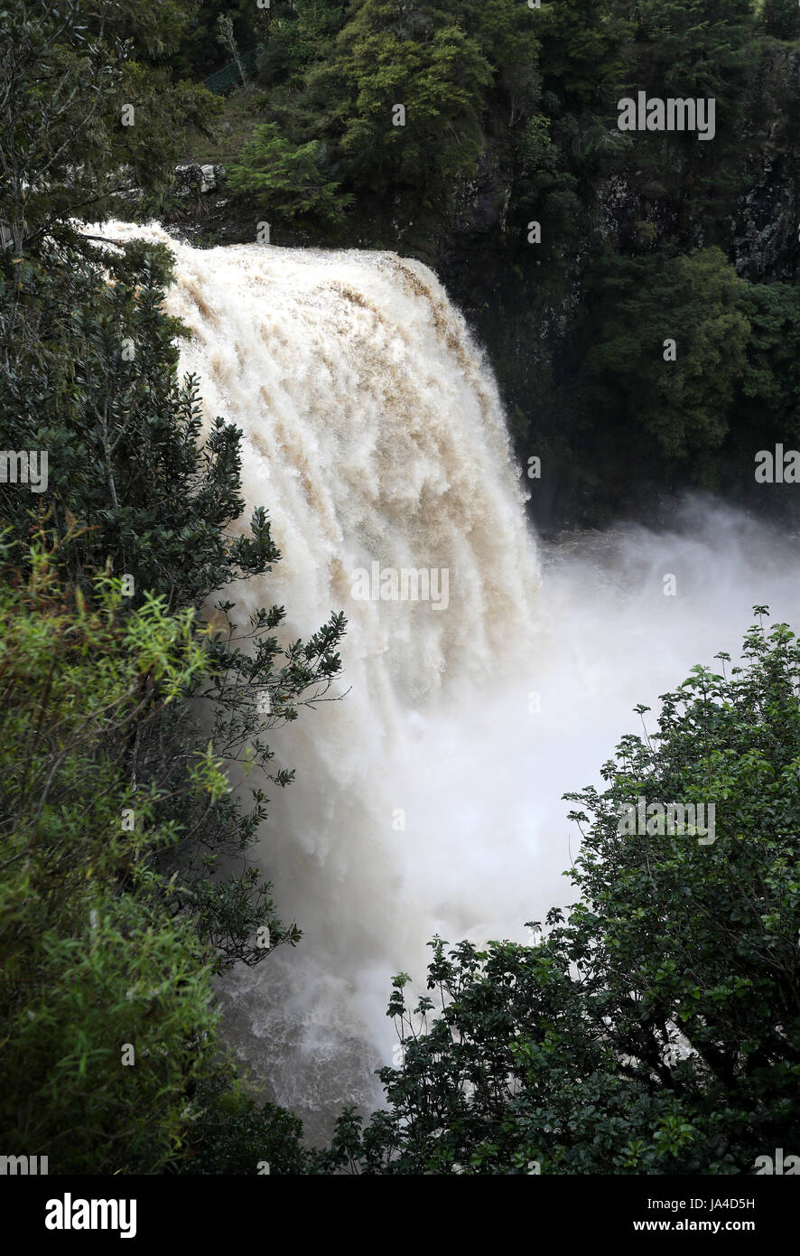 A view of Whangarei falls in New Zealand Stock Photo - Alamy
