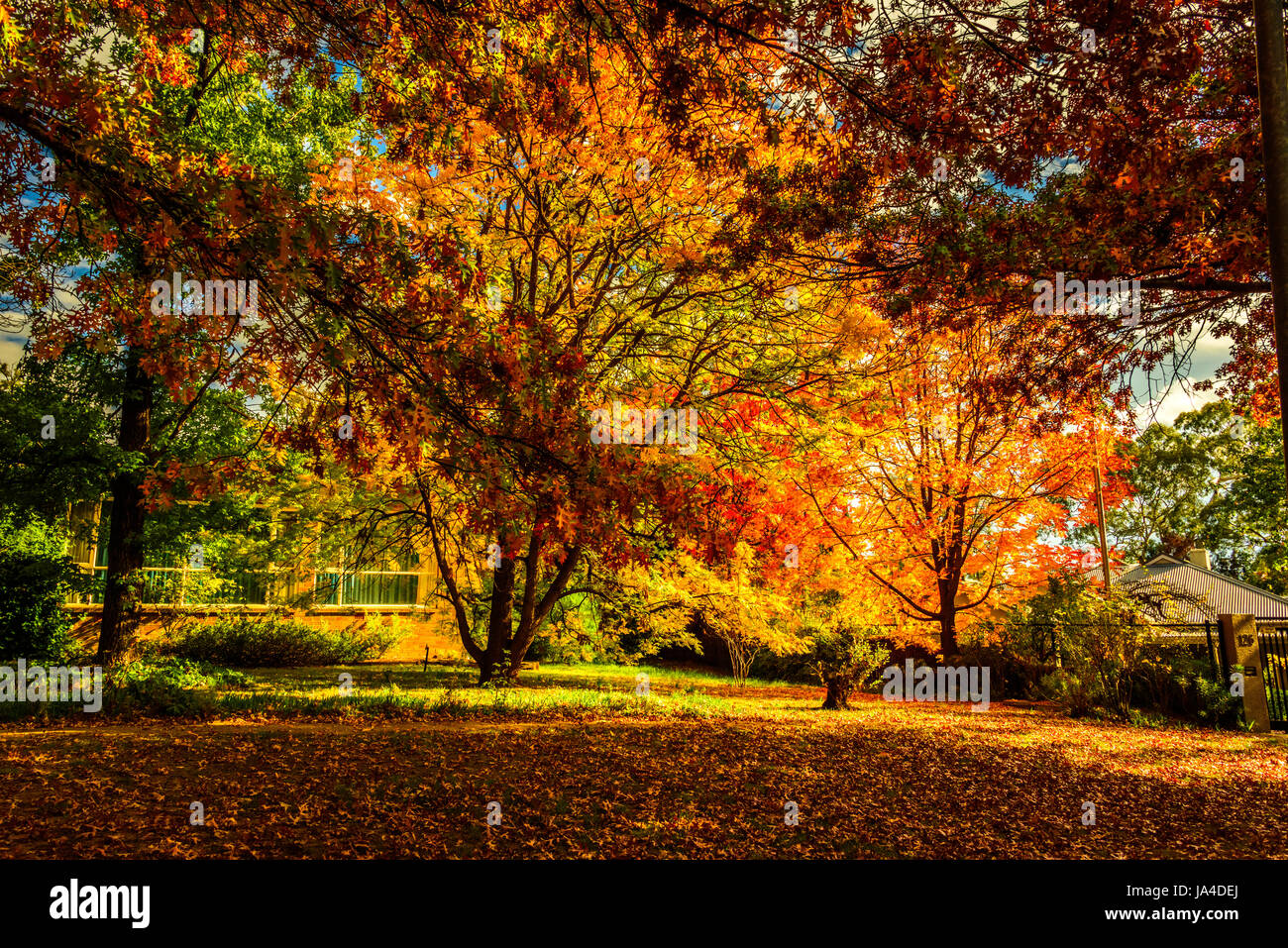 Canberra bank hi-res stock photography and images - Alamy