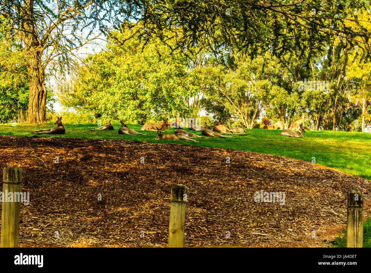 Redcliffe park hi-res stock photography and images - Alamy
