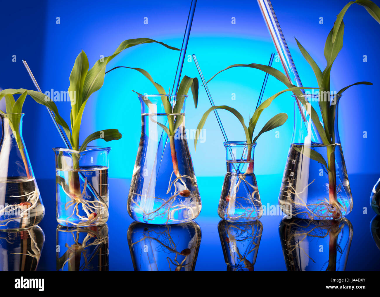 Genetic engineering and pipette hi-res stock photography and images - Alamy
