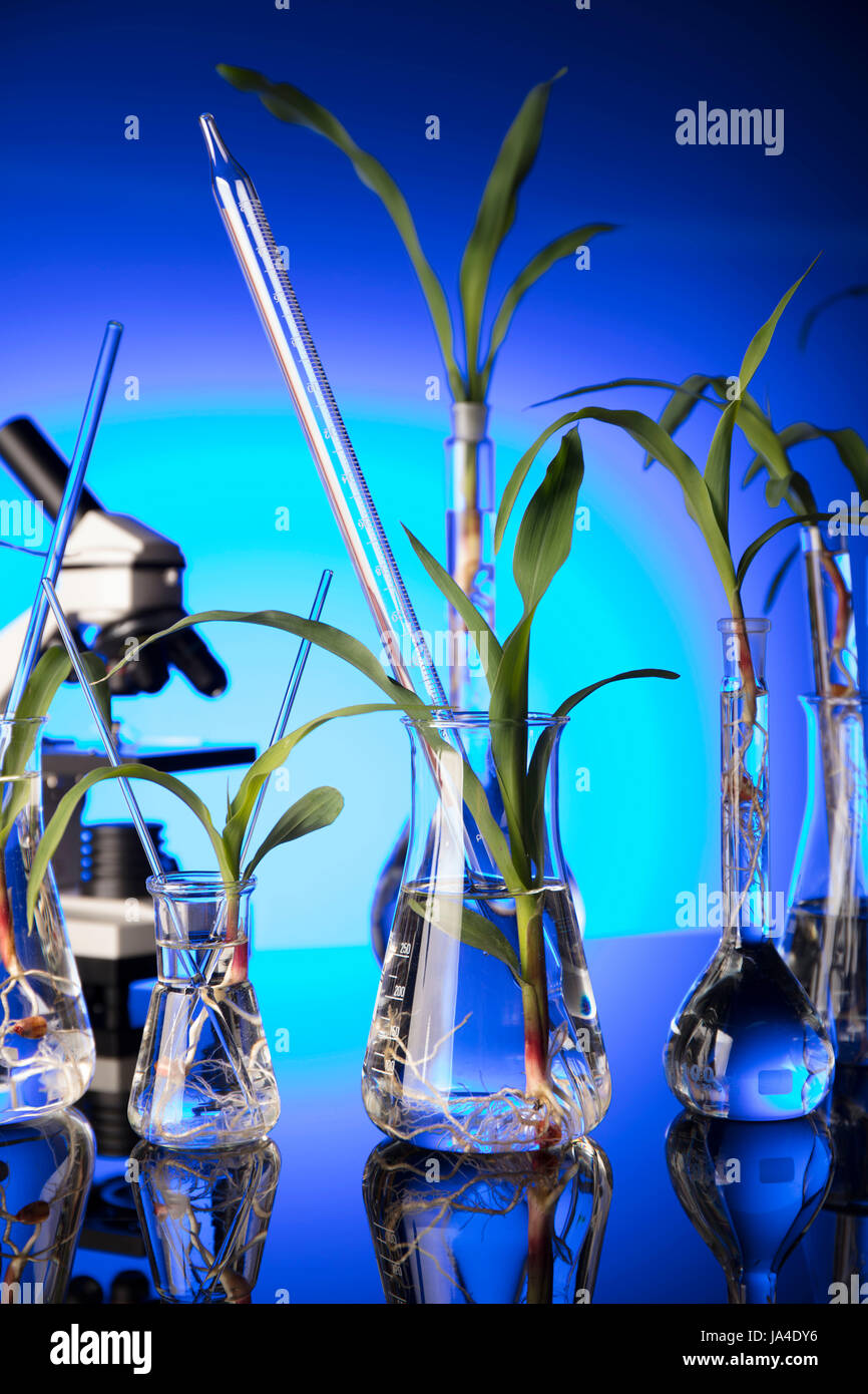 Biotechnology and floral science theme. Experimenting with flora in ...