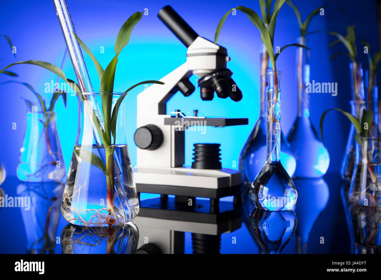 Biotechnology and floral science theme. Experimenting with flora in ...