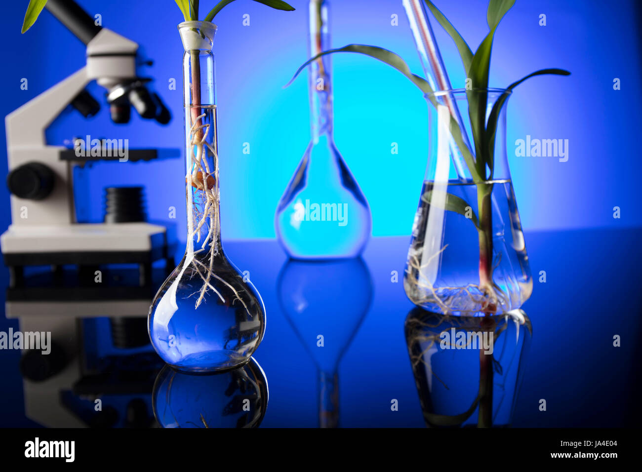 Biotechnology and floral science theme. Experimenting with flora in ...