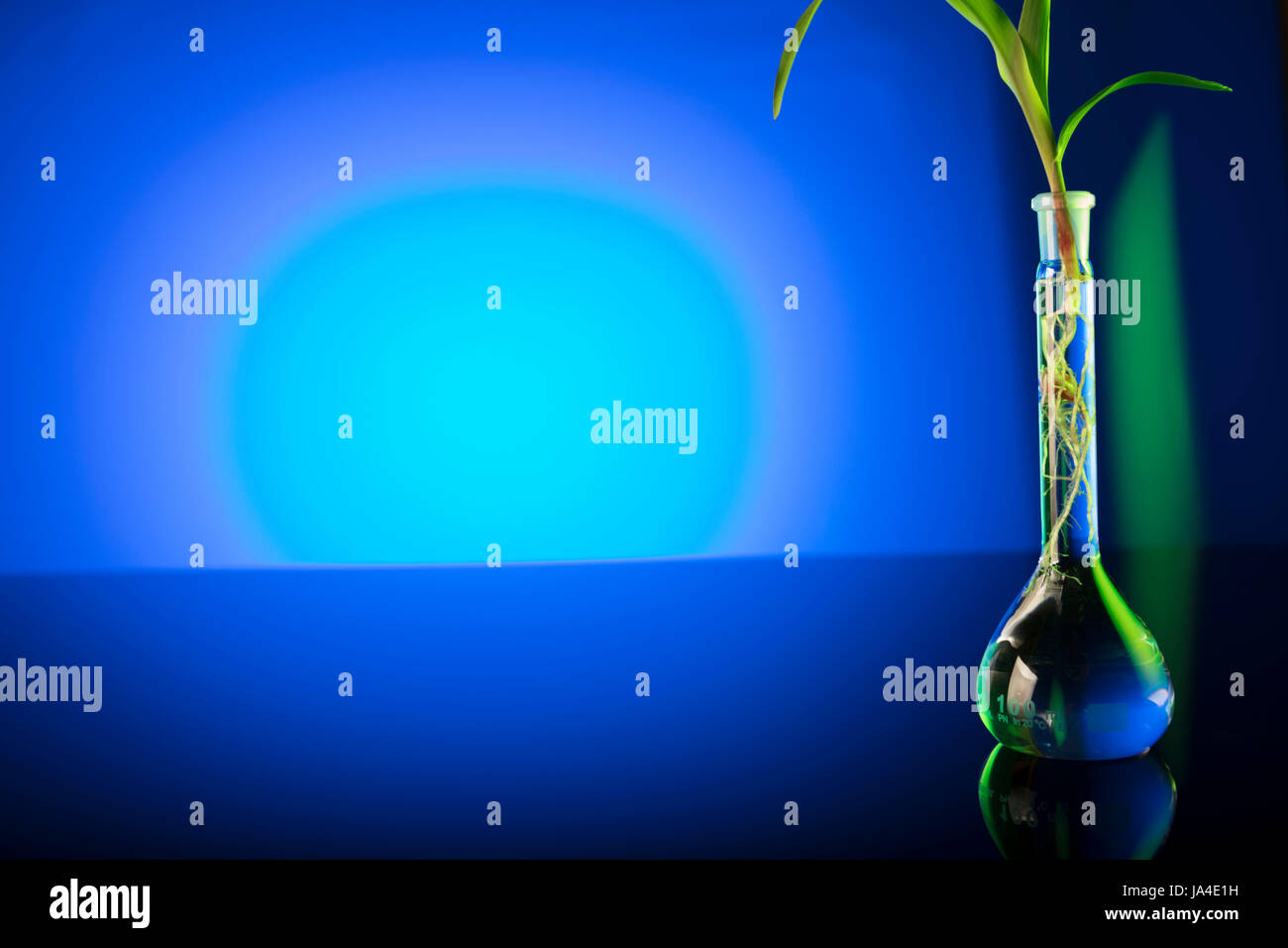 Biotechnology and floral science theme. Experimenting with flora in ...