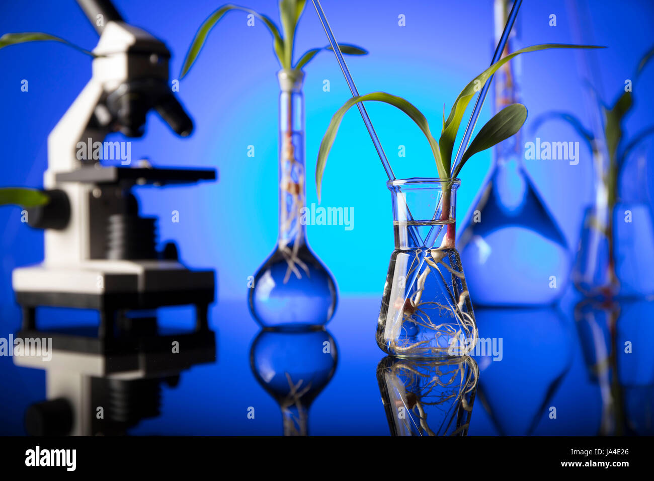 Biotechnology and floral science theme. Experimenting with flora in ...